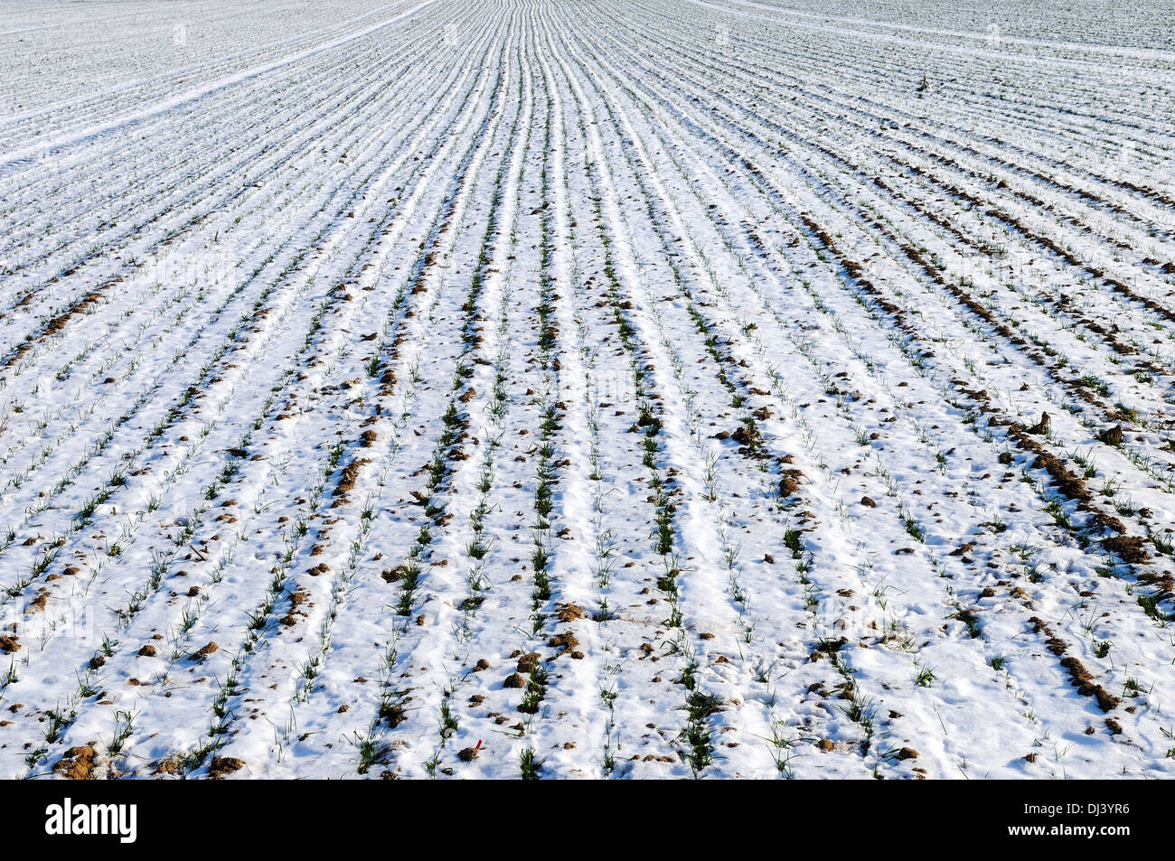 Winterpause hi-res stock photography and images - Alamy