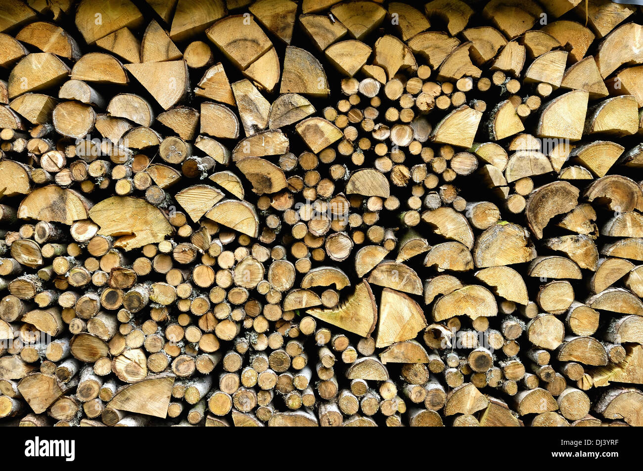 Winter is coming Stock Photo - Alamy