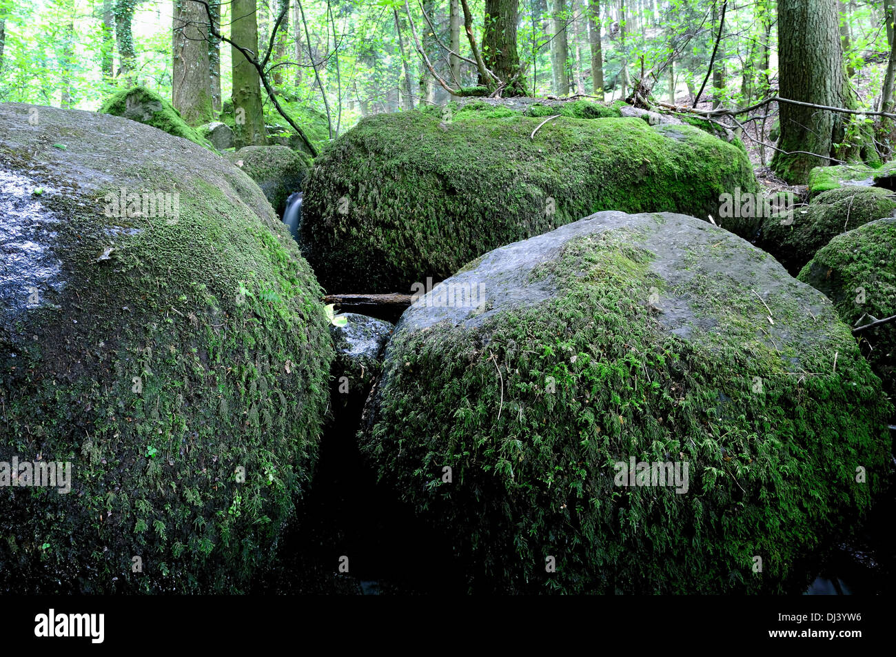 Erratic boulders hi-res stock photography and images - Alamy