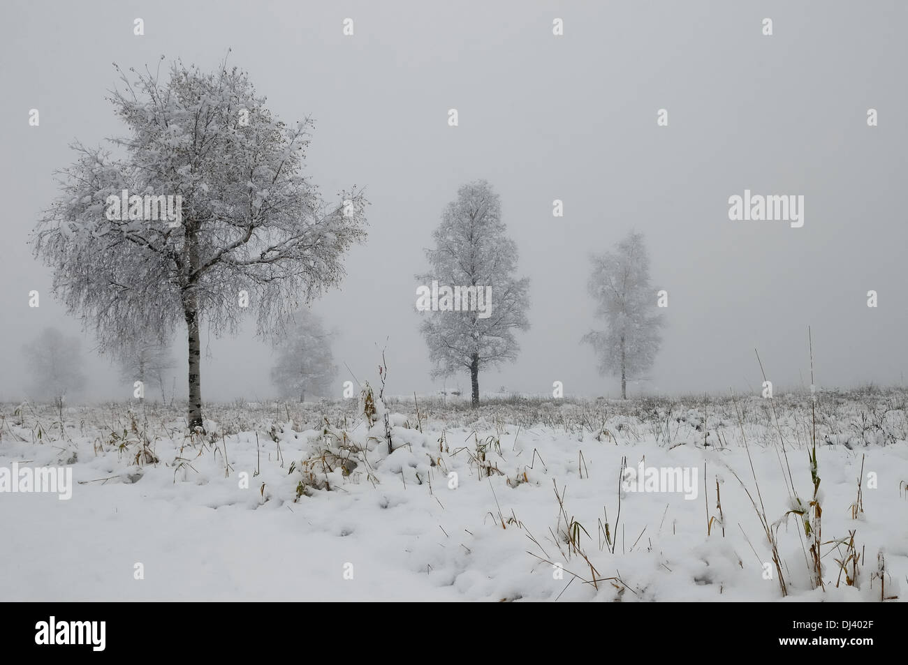 Severe winter of hi-res stock photography and images - Alamy