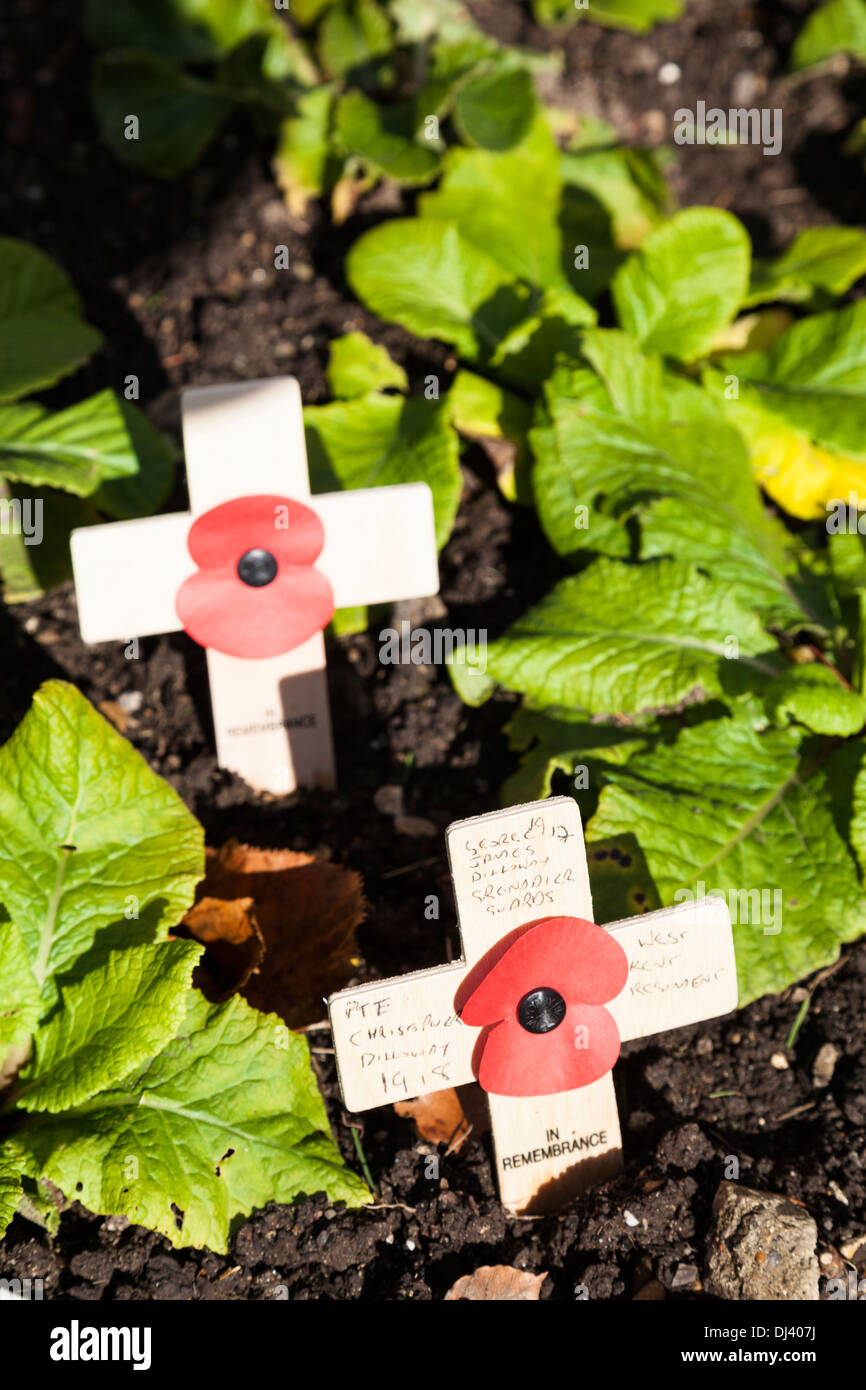 Close-up of Remembrance Day wooden memorial crosses with poppies Stock ...
