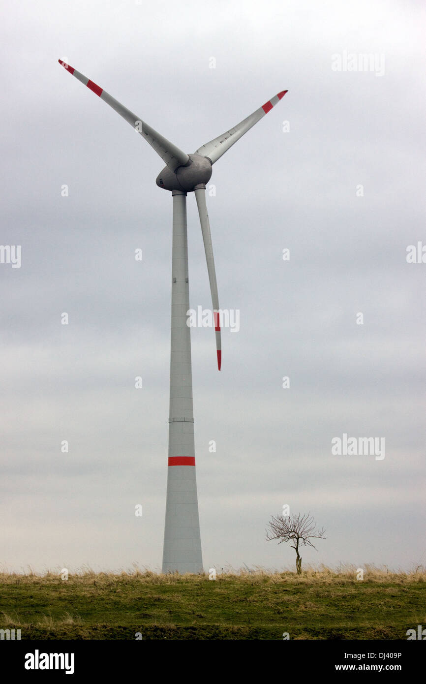 Nature and engineering Stock Photo - Alamy