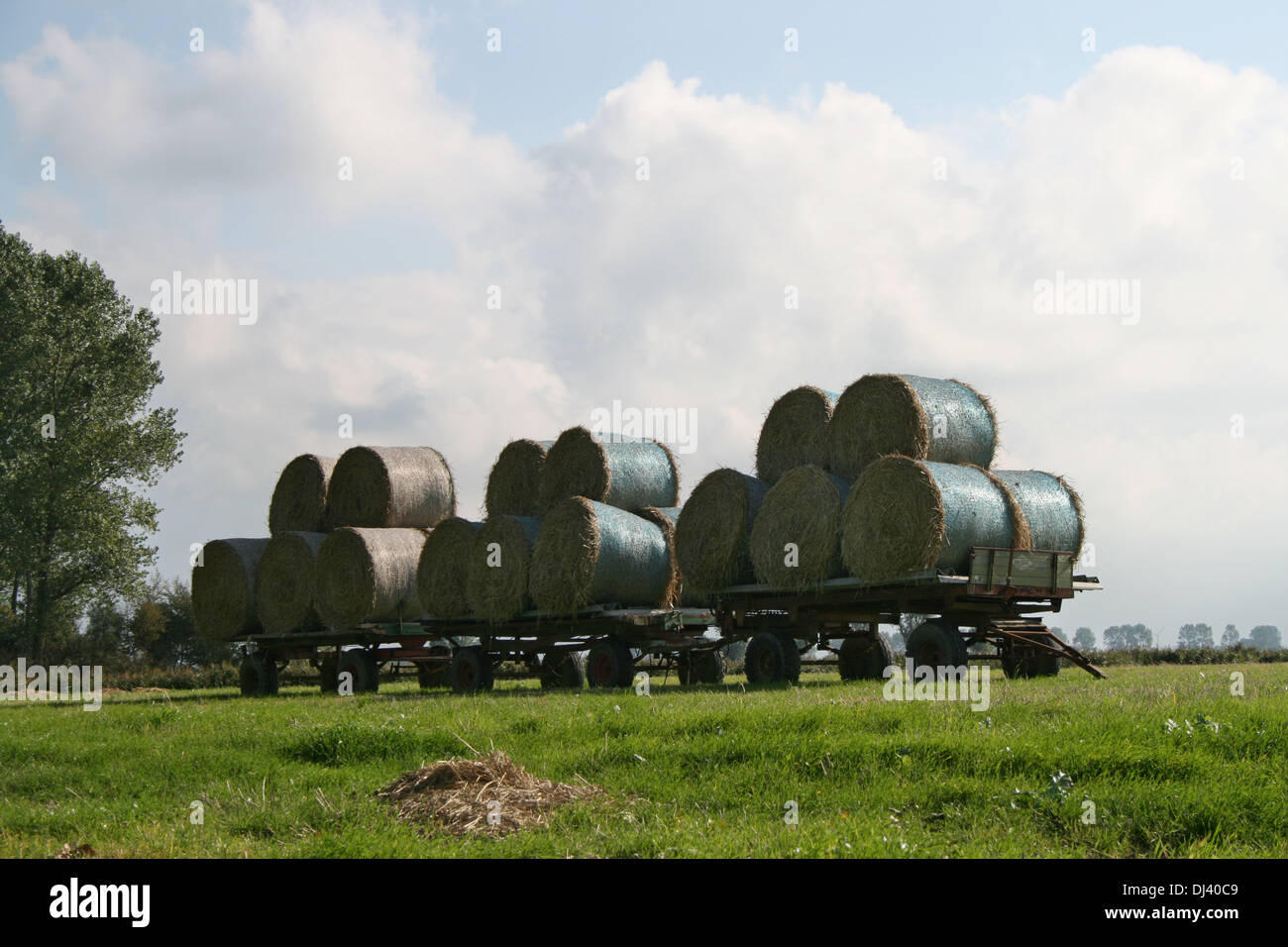 Round bale transport Stock Photo - Alamy