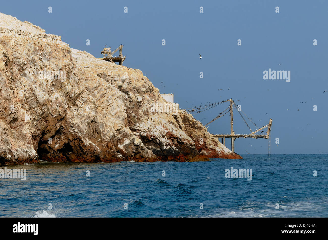 Guano hi-res stock photography and images - Alamy