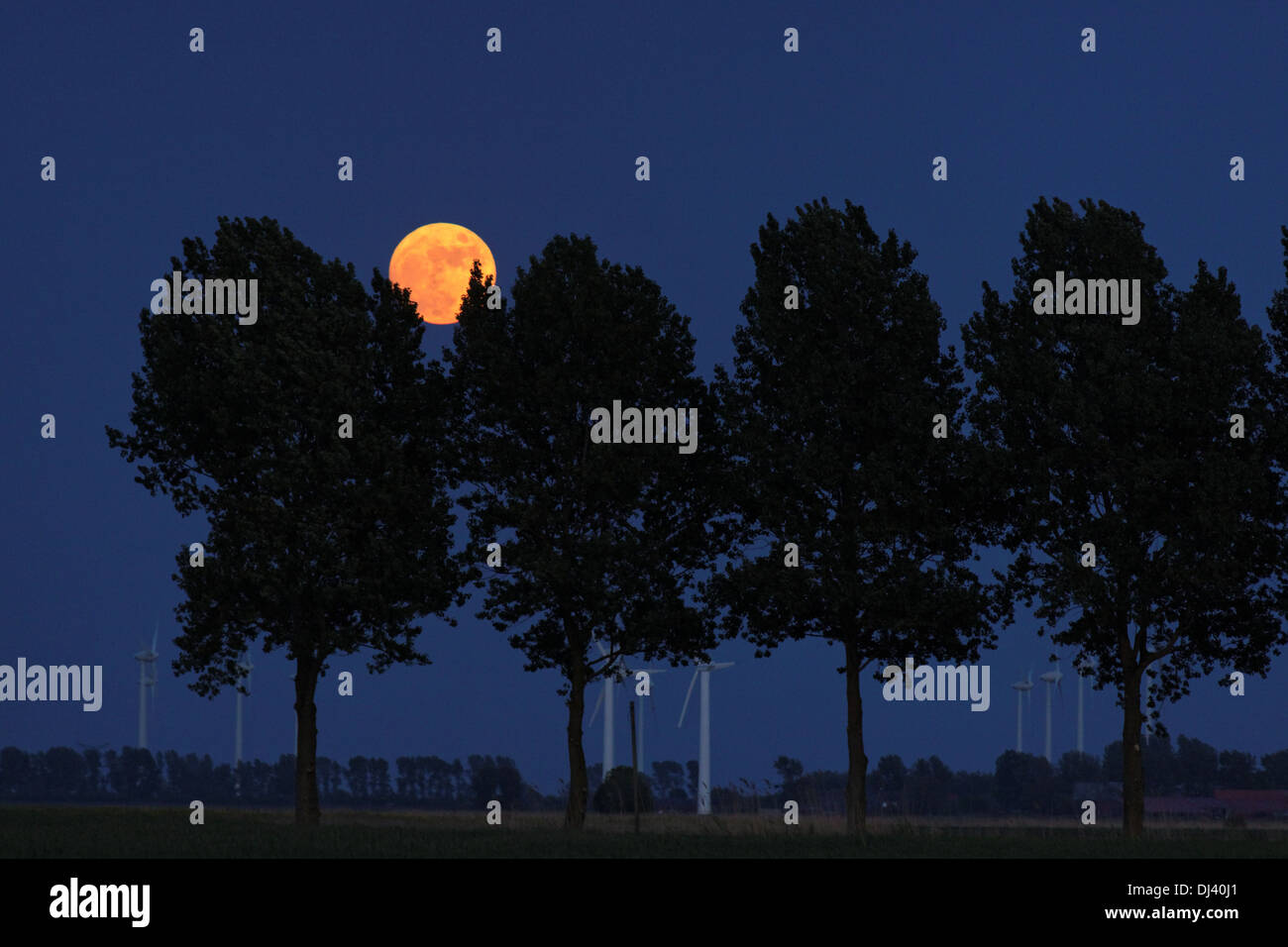 Full moon through the trees Stock Photo - Alamy