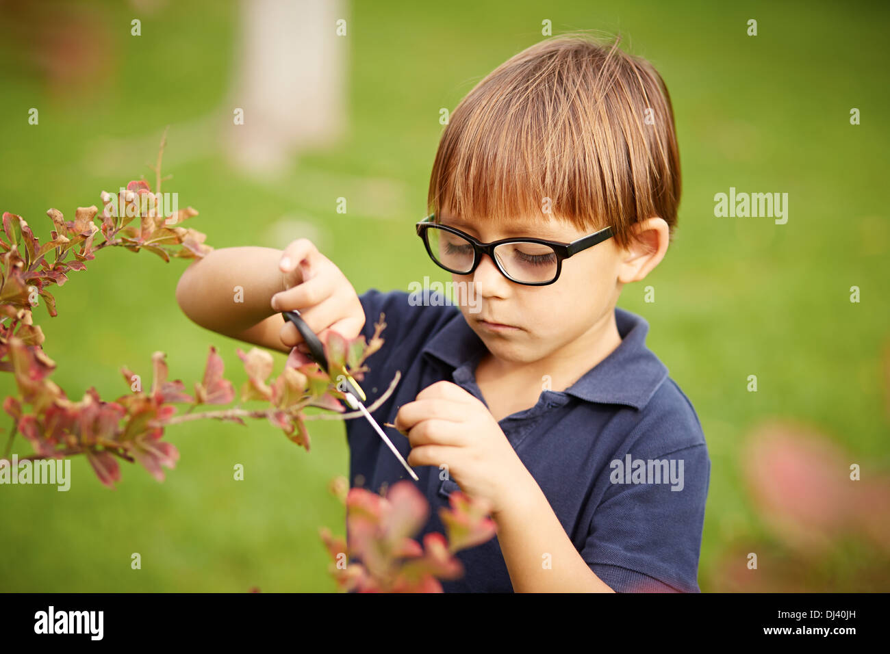 Little boy gardening outdoors on grass background Stock Photo - Alamy