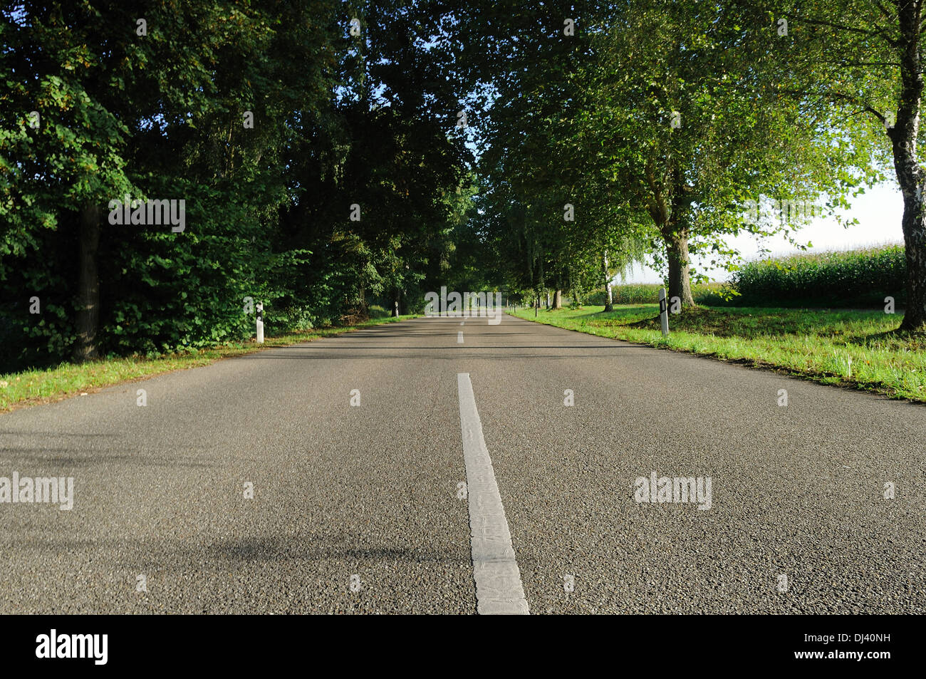 Raised pavement marker hi-res stock photography and images - Alamy