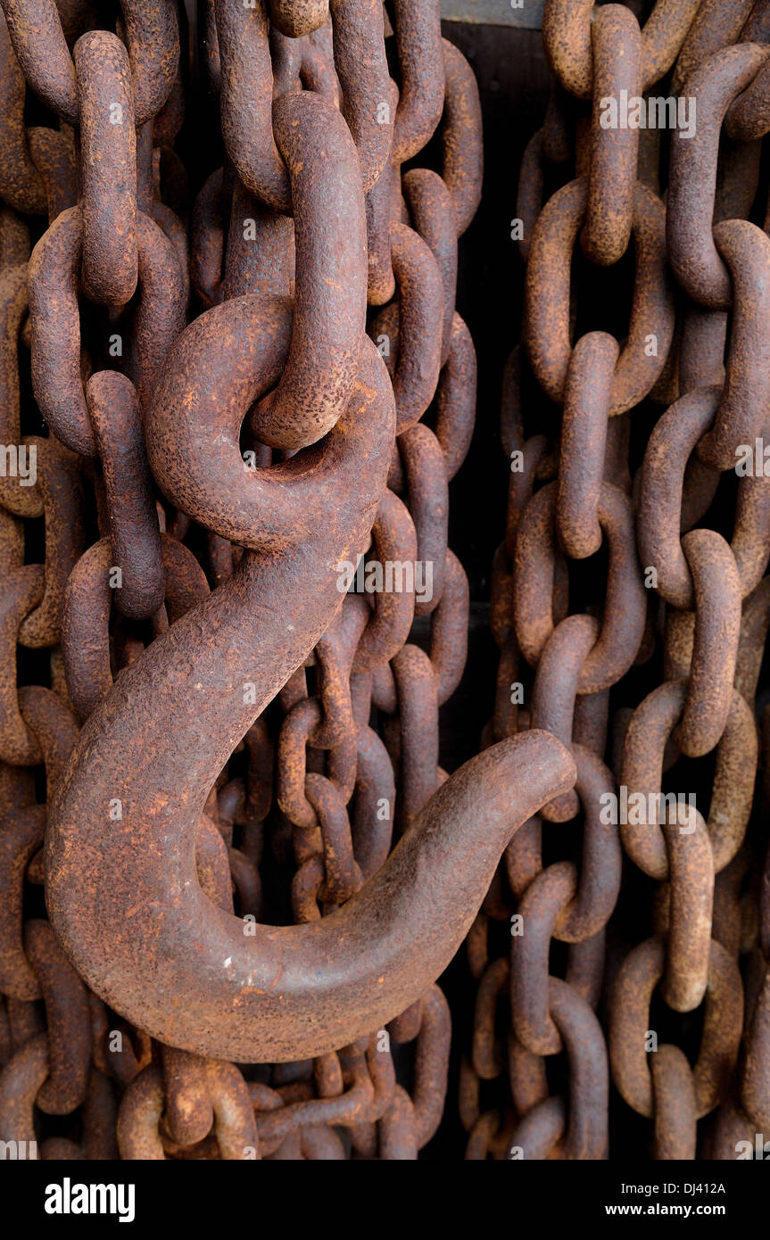 Glied glieder hi-res stock photography and images - Alamy