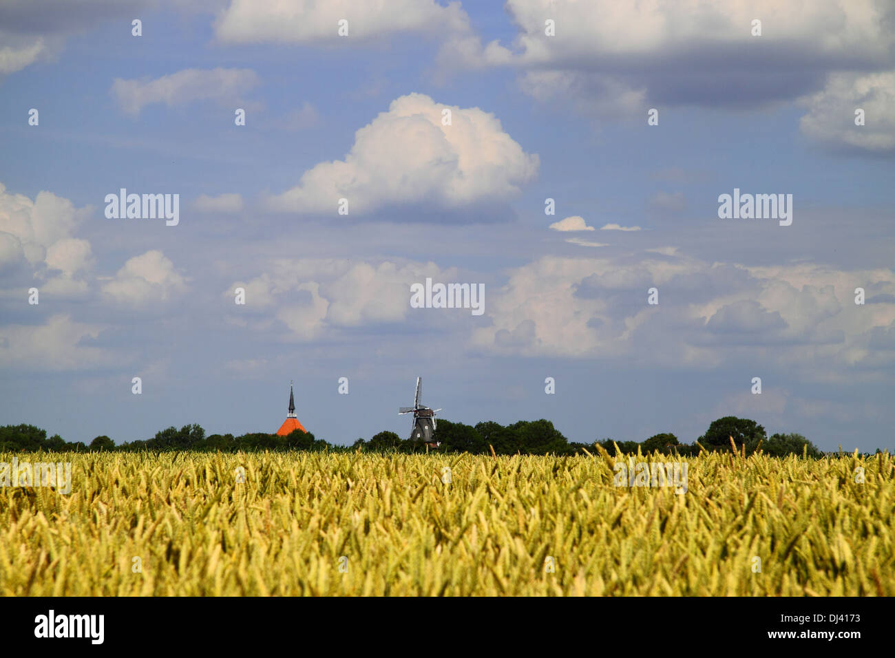 Dunkel weizen hi-res stock photography and images - Alamy