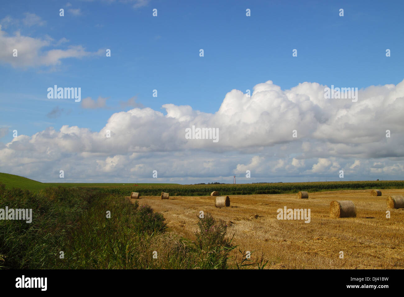 Diek High Resolution Stock Photography and Images - Alamy
