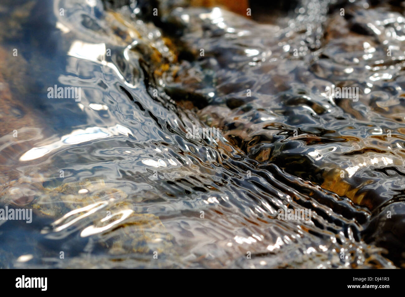 In the water Stock Photo - Alamy