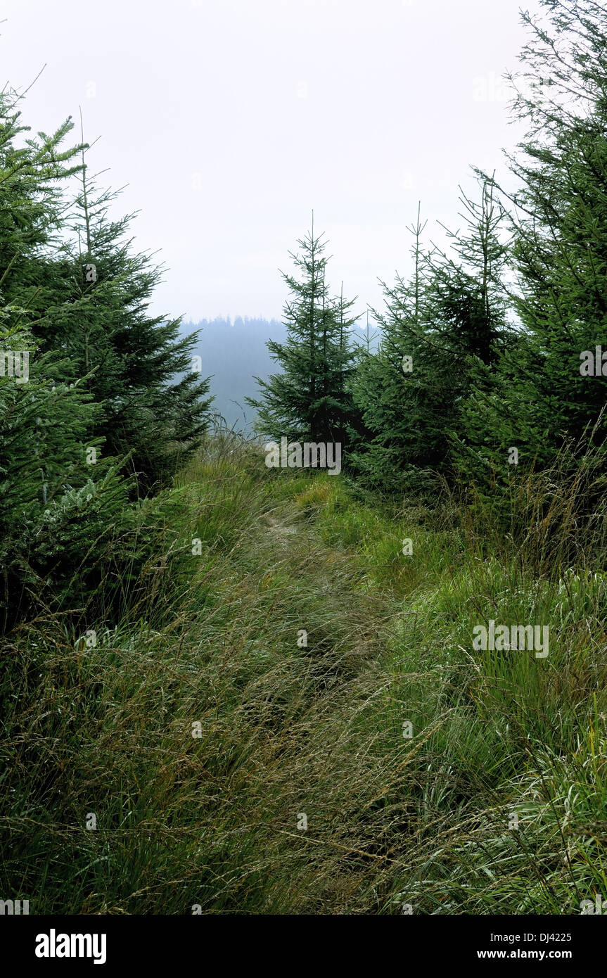 Wandern t hi-res stock photography and images - Alamy