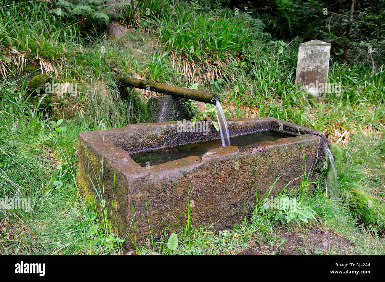 Source container hi-res stock photography and images - Alamy