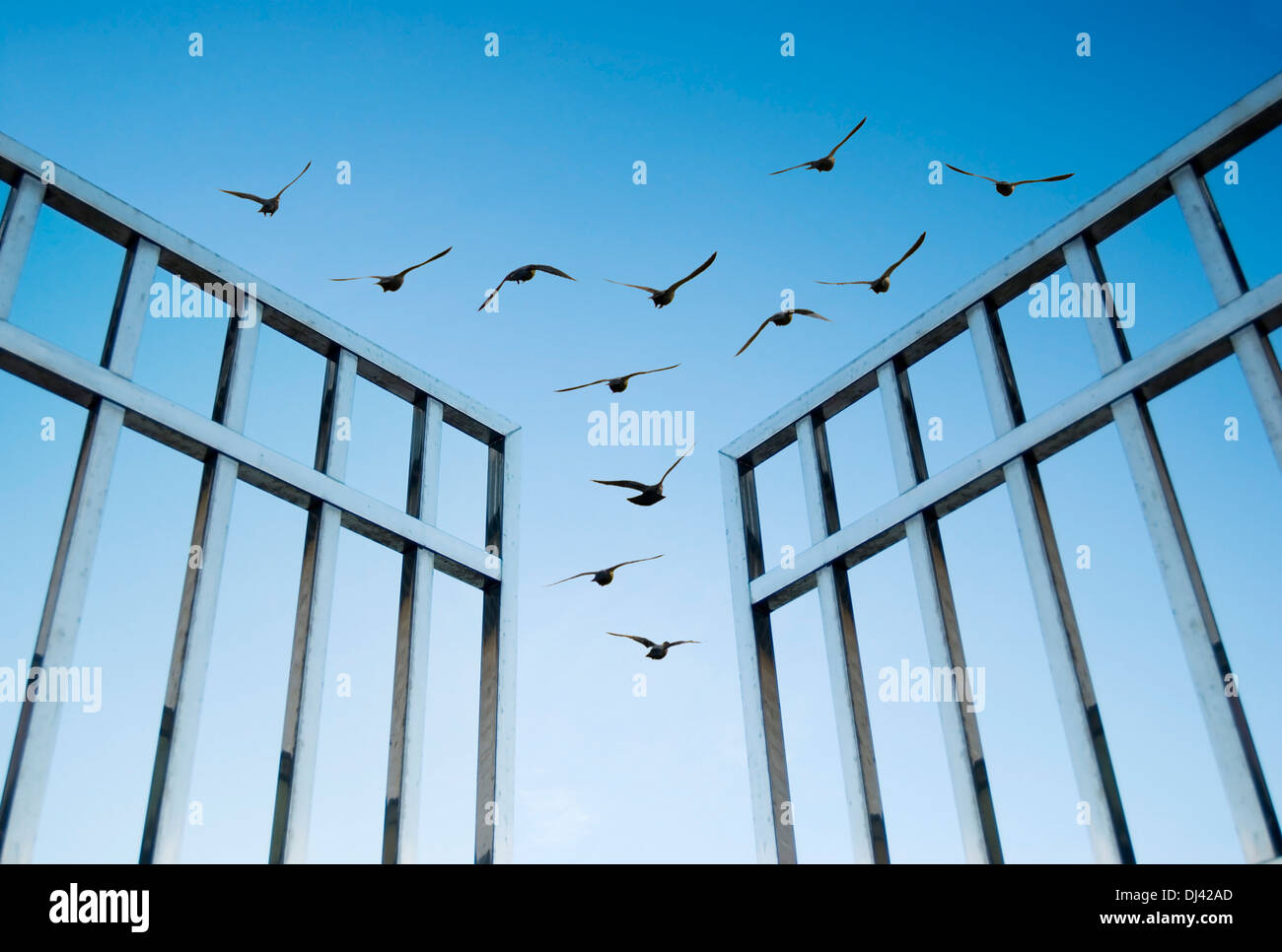 birds fly over the open gate Stock Photo - Alamy