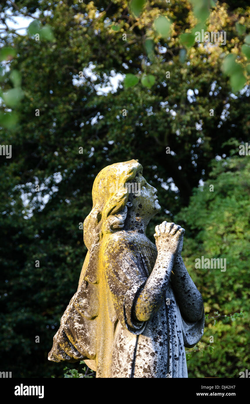 Statue and trees hi-res stock photography and images - Alamy