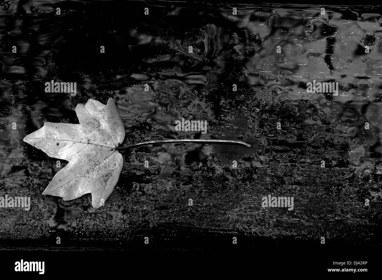 Llustriert hi-res stock photography and images - Alamy