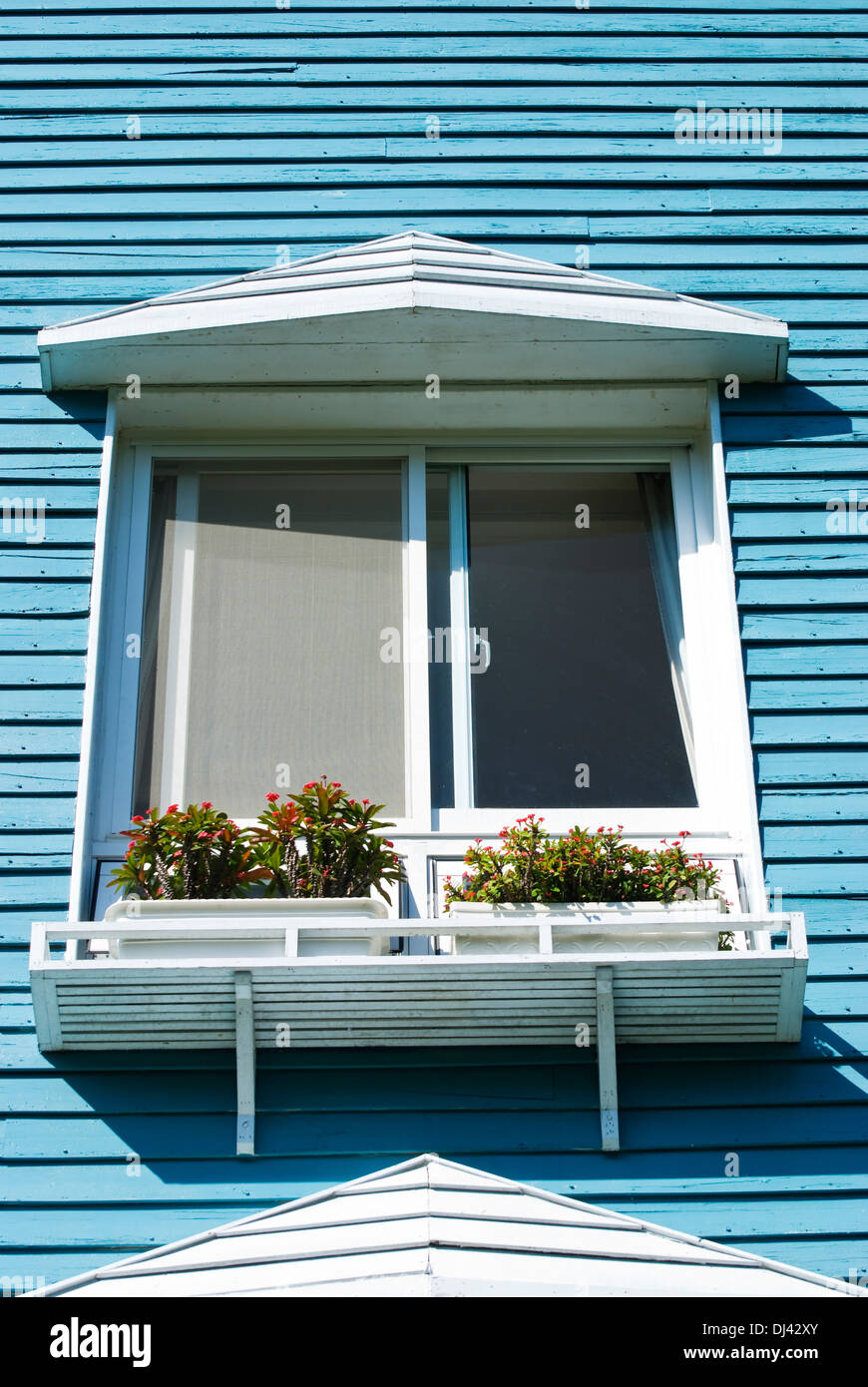 Blue balcony plant hi-res stock photography and images - Alamy