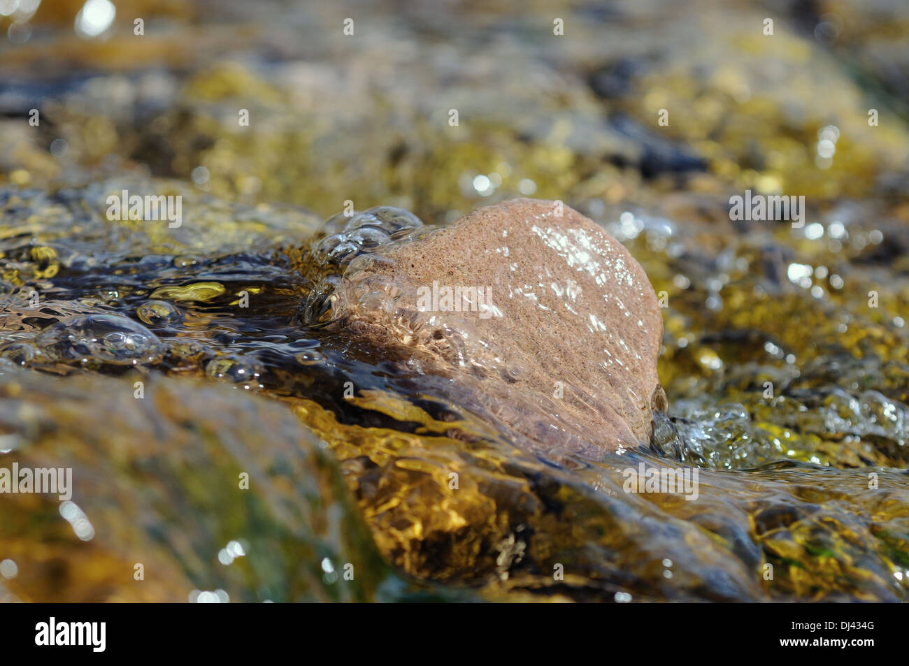 Stone in water Stock Photo - Alamy