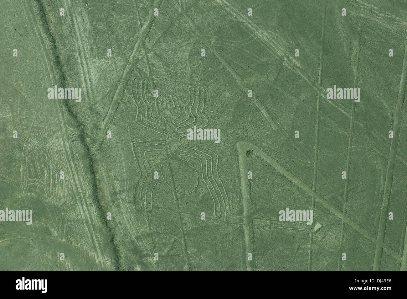 Nazca Lines Spider Peru Stock Photo - Alamy