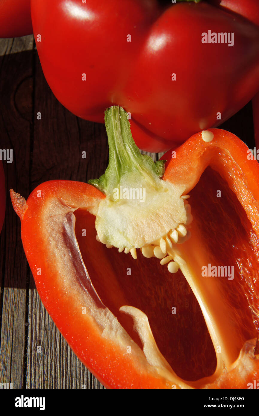 Capsicum annuum, Paprika, red pepper Stock Photo - Alamy