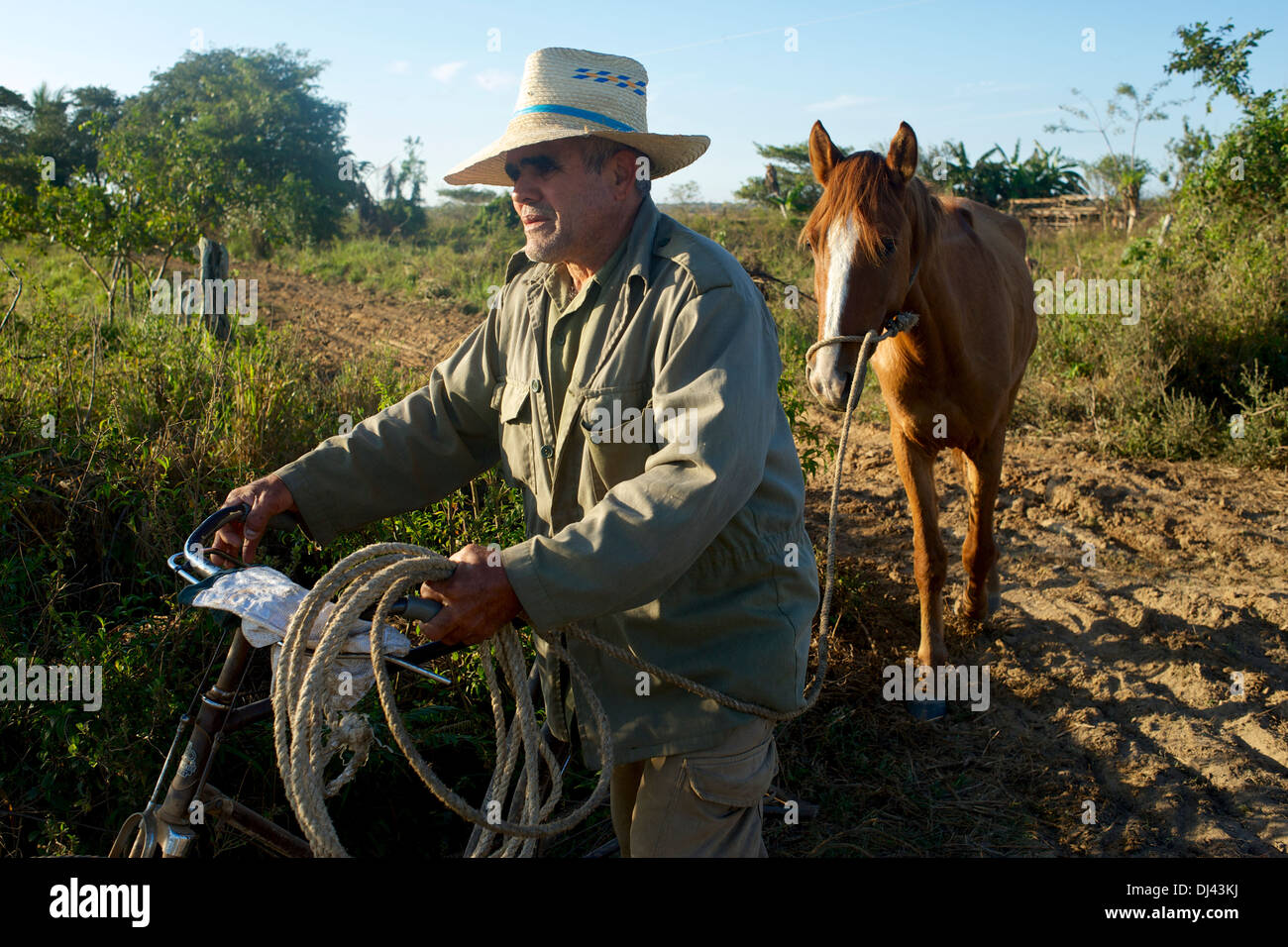 Old cuban horse hi-res stock photography and images - Alamy