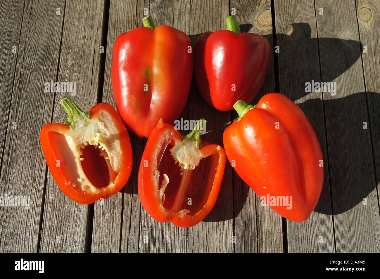 Red paprika capsicum annuum hi-res stock photography and images - Alamy