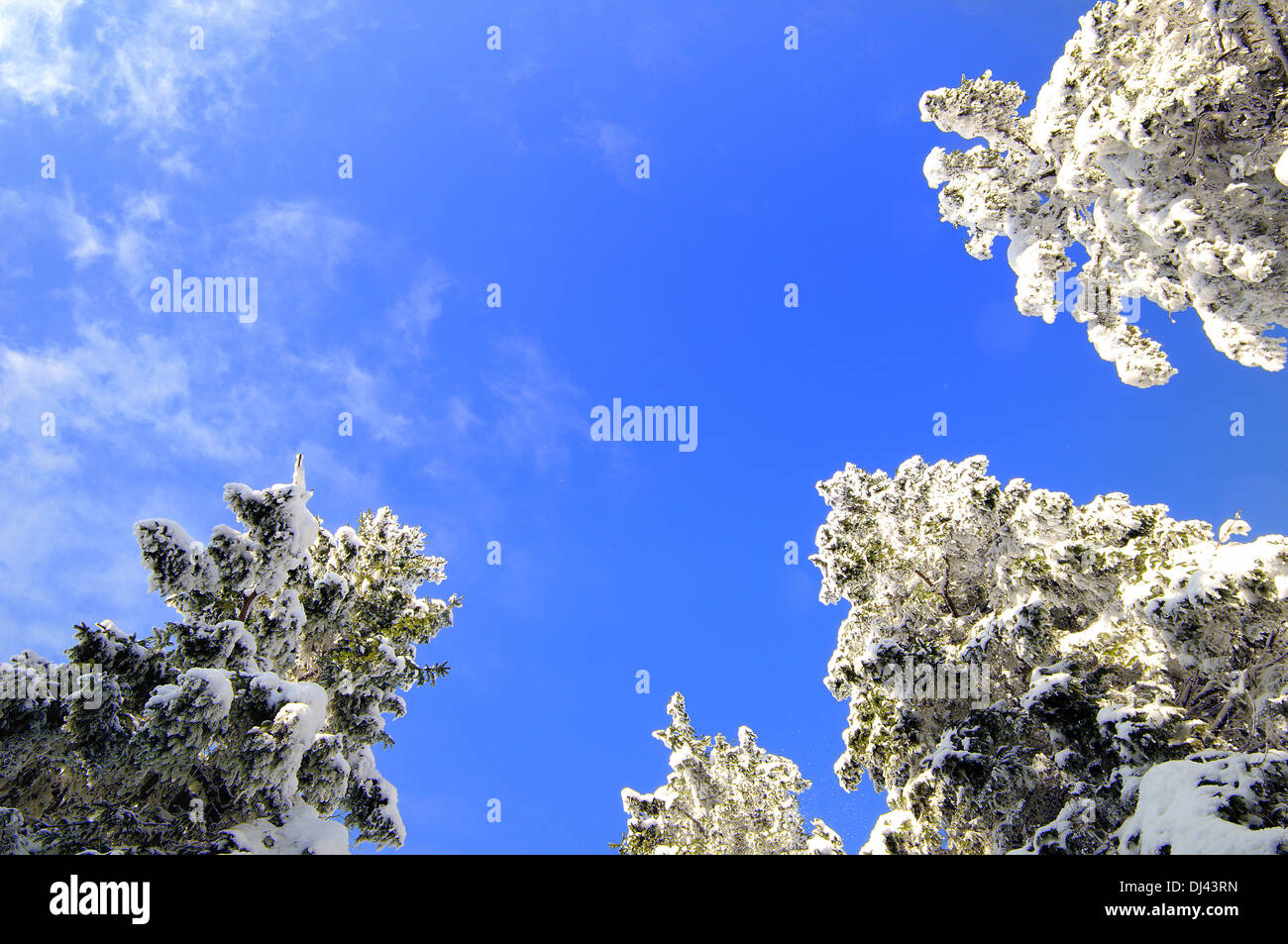 From bottom the top hi-res stock photography and images - Alamy