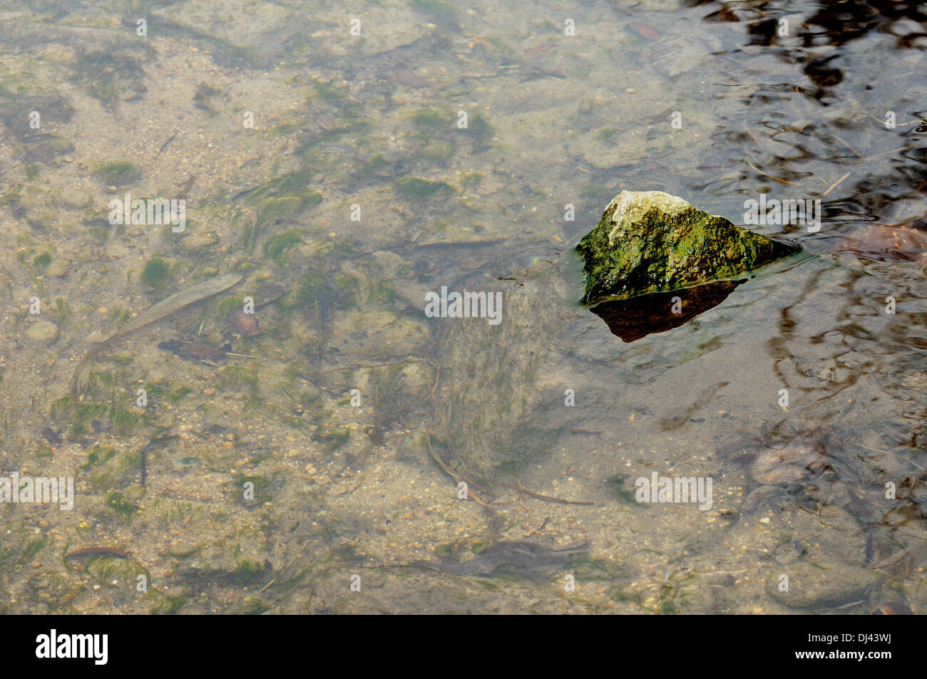 Stone in the water Stock Photo - Alamy