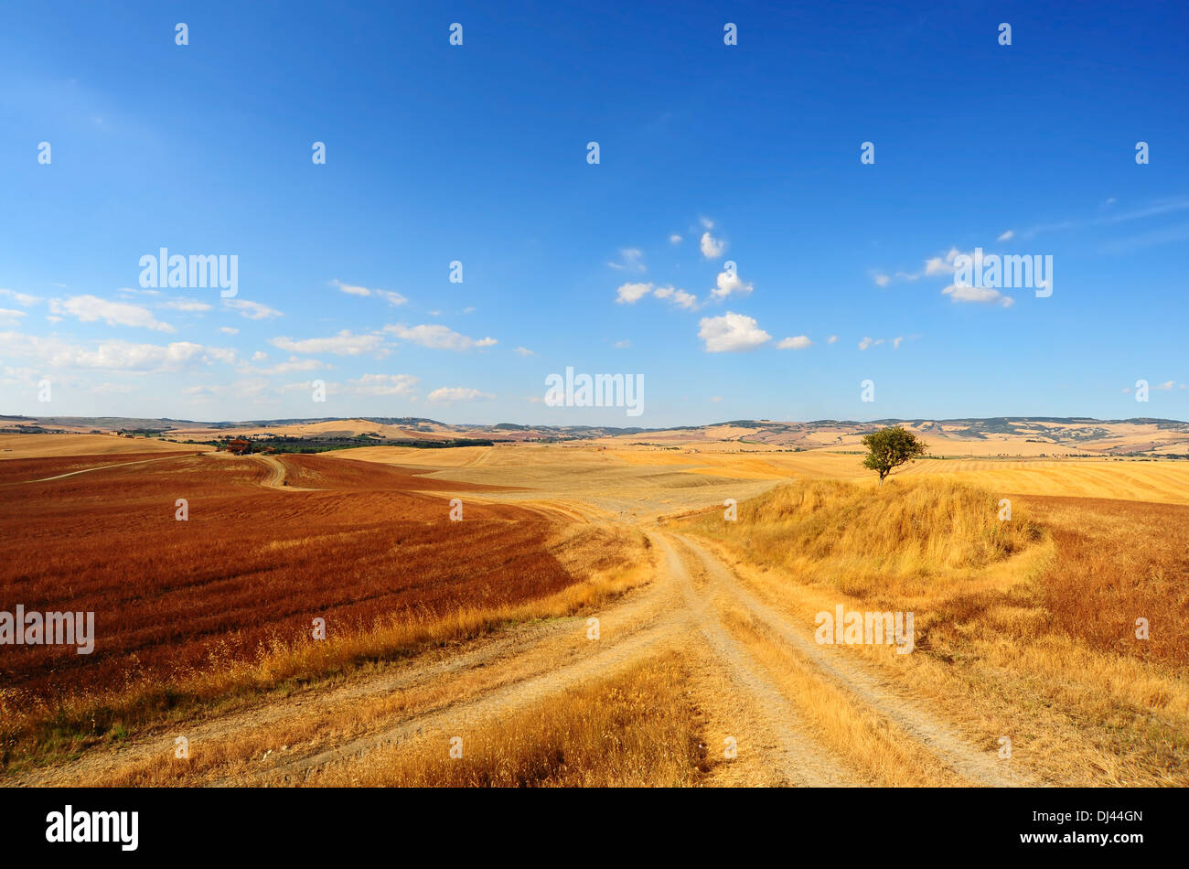 Rural intersection country crossroads hi-res stock photography and ...