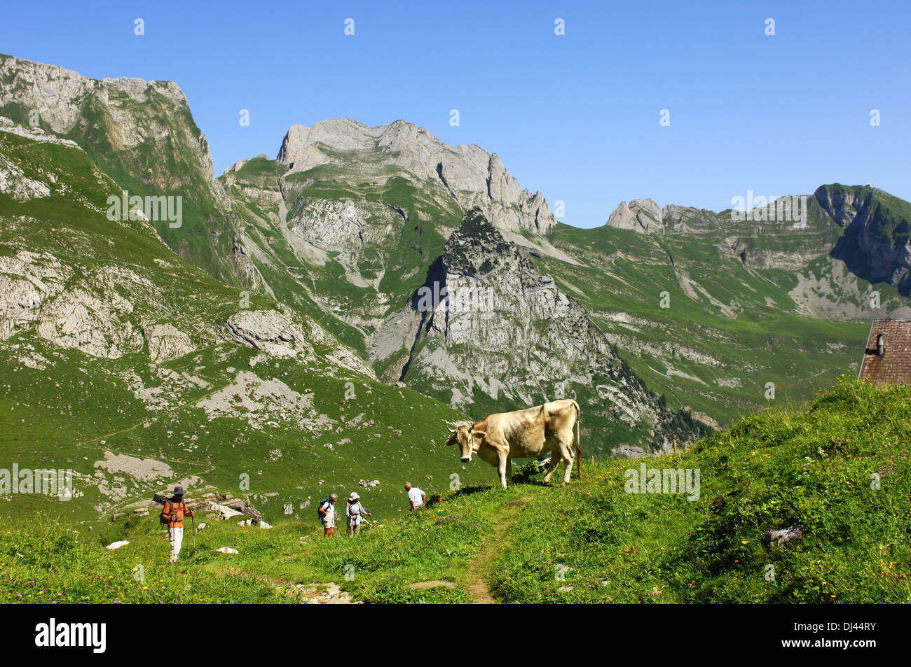 Alpstein region hi-res stock photography and images - Alamy