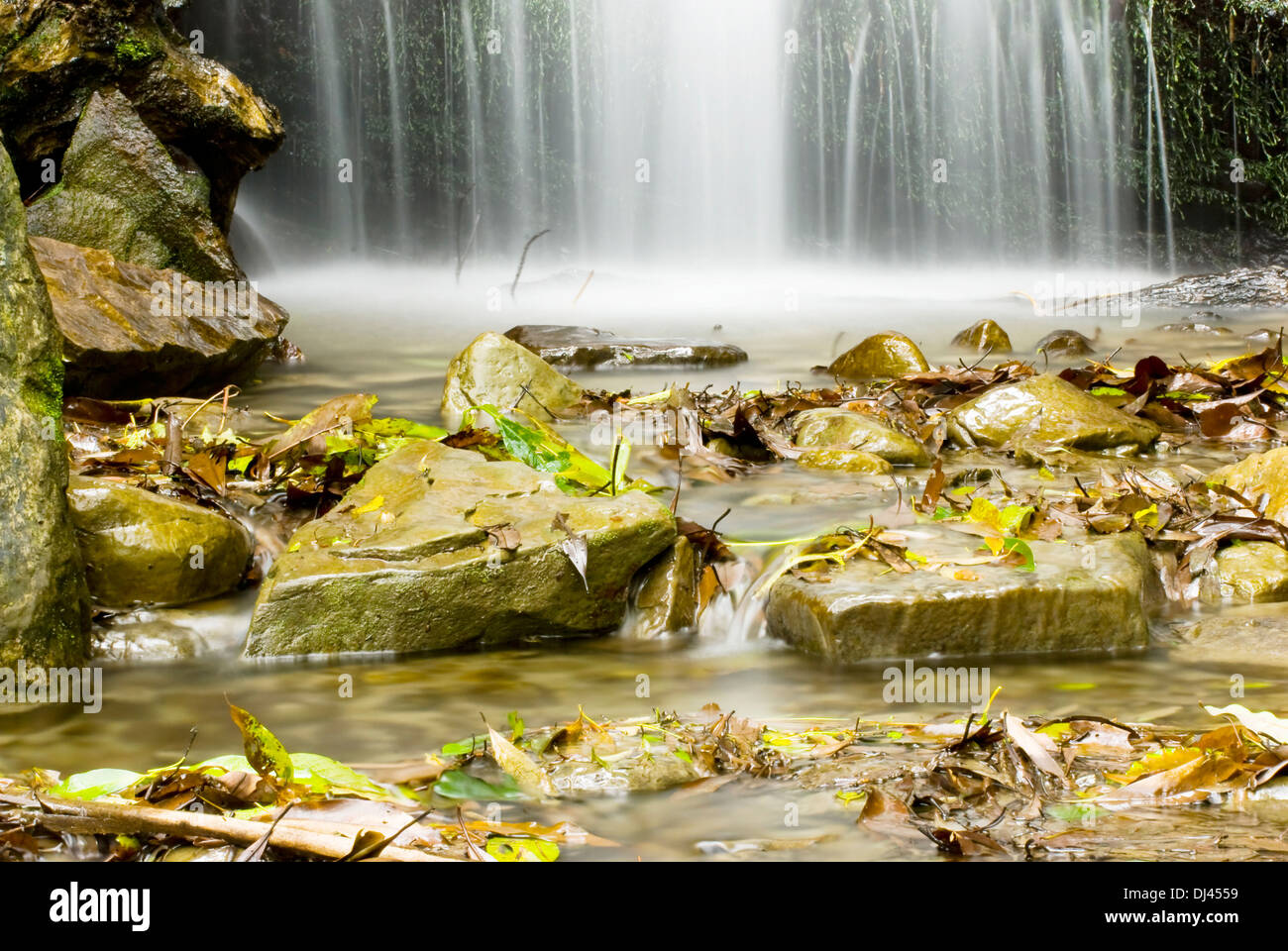 Small waterfall in the forest Stock Photo - Alamy