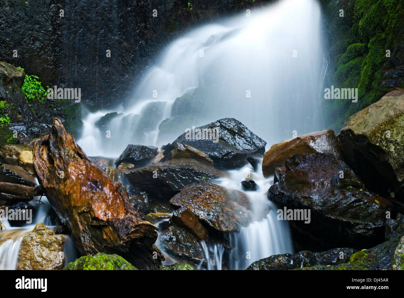 Small waterfall with moss rocks Stock Photo - Alamy