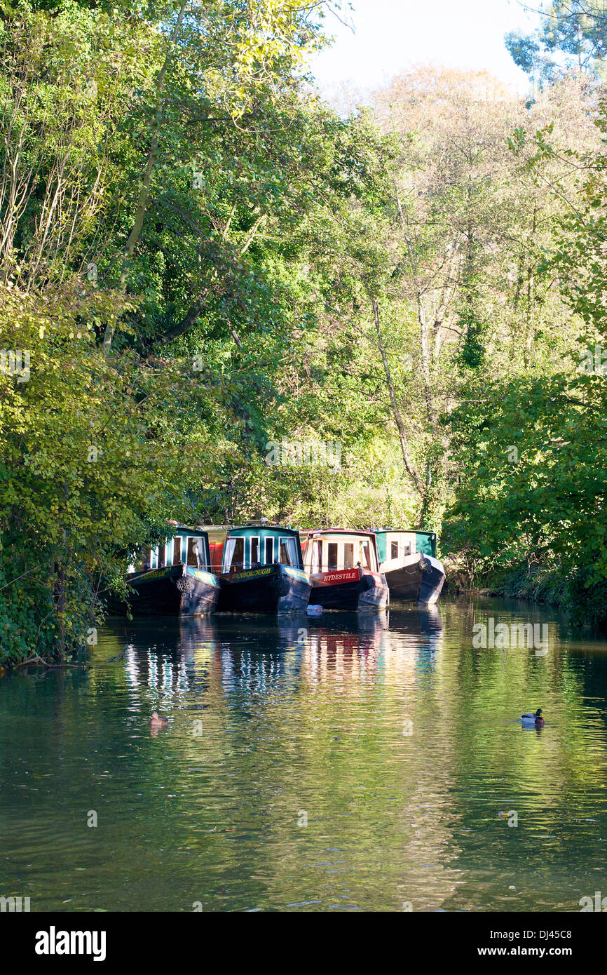 Guildford four hi-res stock photography and images - Alamy