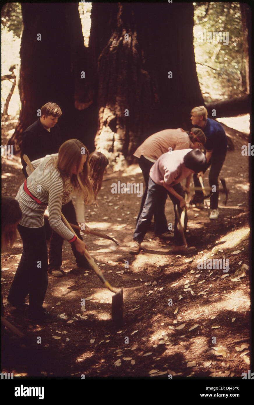 Young conservationists hi-res stock photography and images - Alamy