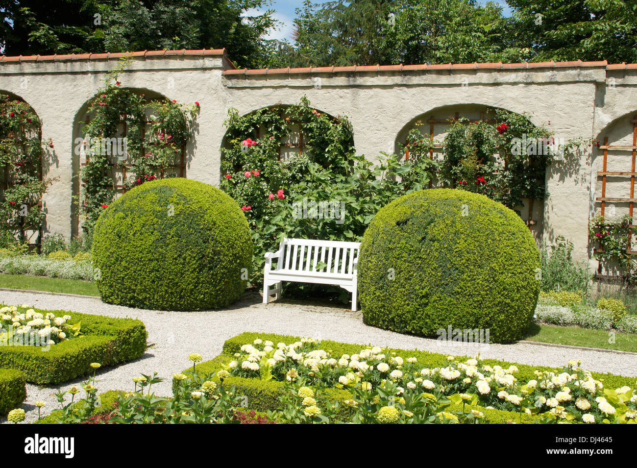 Box trees hi-res stock photography and images - Alamy