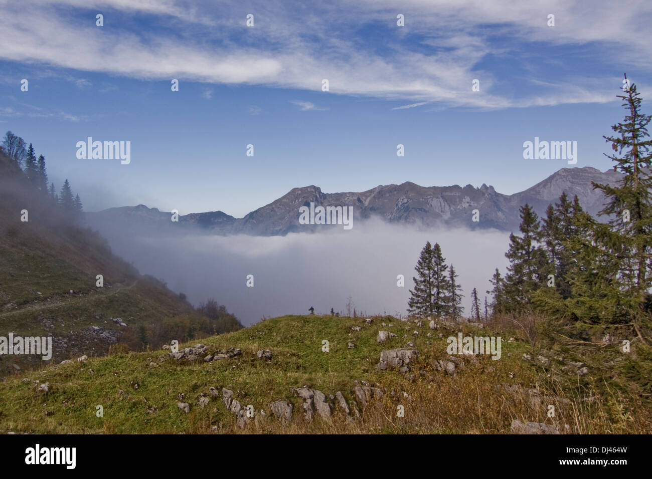 Almwiese gras hi-res stock photography and images - Alamy