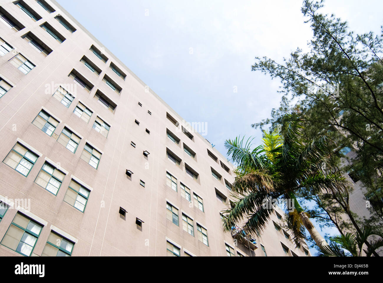 Big trees and buildings hi-res stock photography and images - Alamy