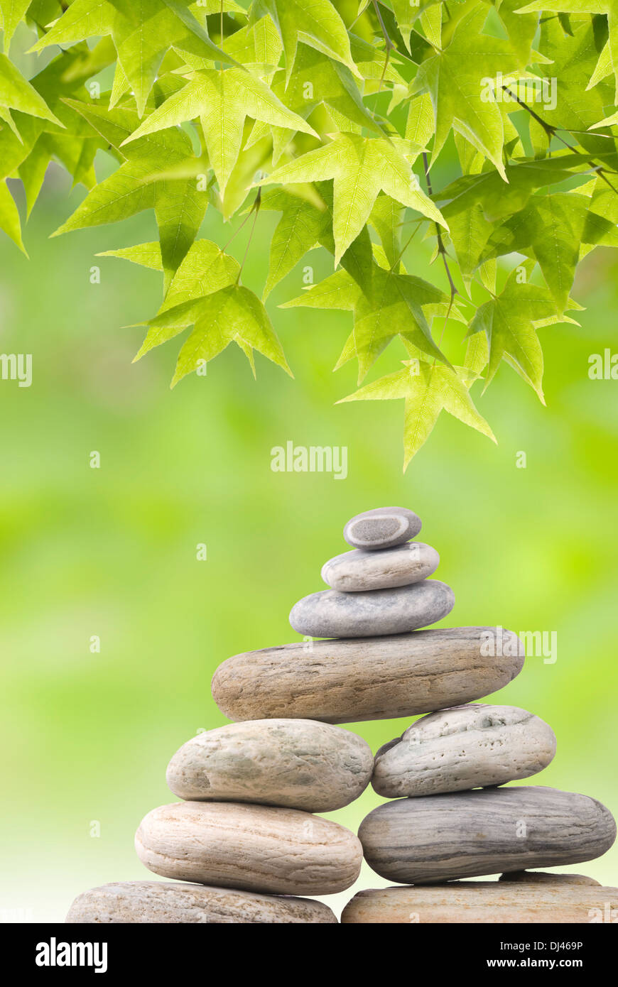 Zen concept, fresh green Leaves and pebbles Stock Photo - Alamy