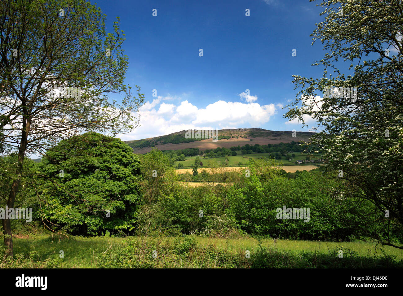 Spring bamford edge derbyshire peak district national park england ...