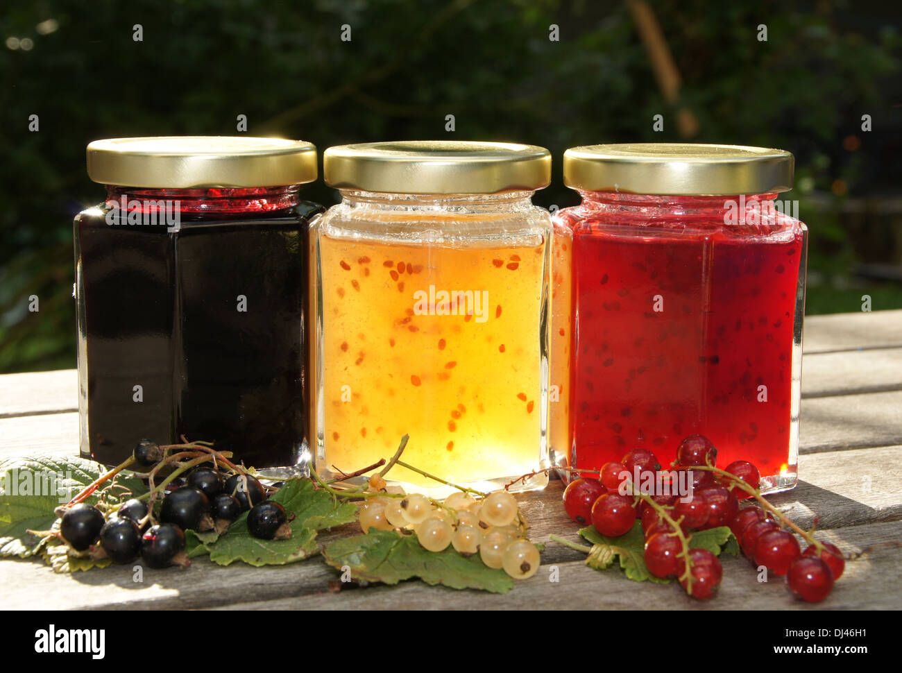 Johannisbeergelee hi-res stock photography and images - Alamy