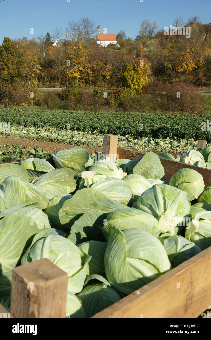 Ernte hi-res stock photography and images - Alamy