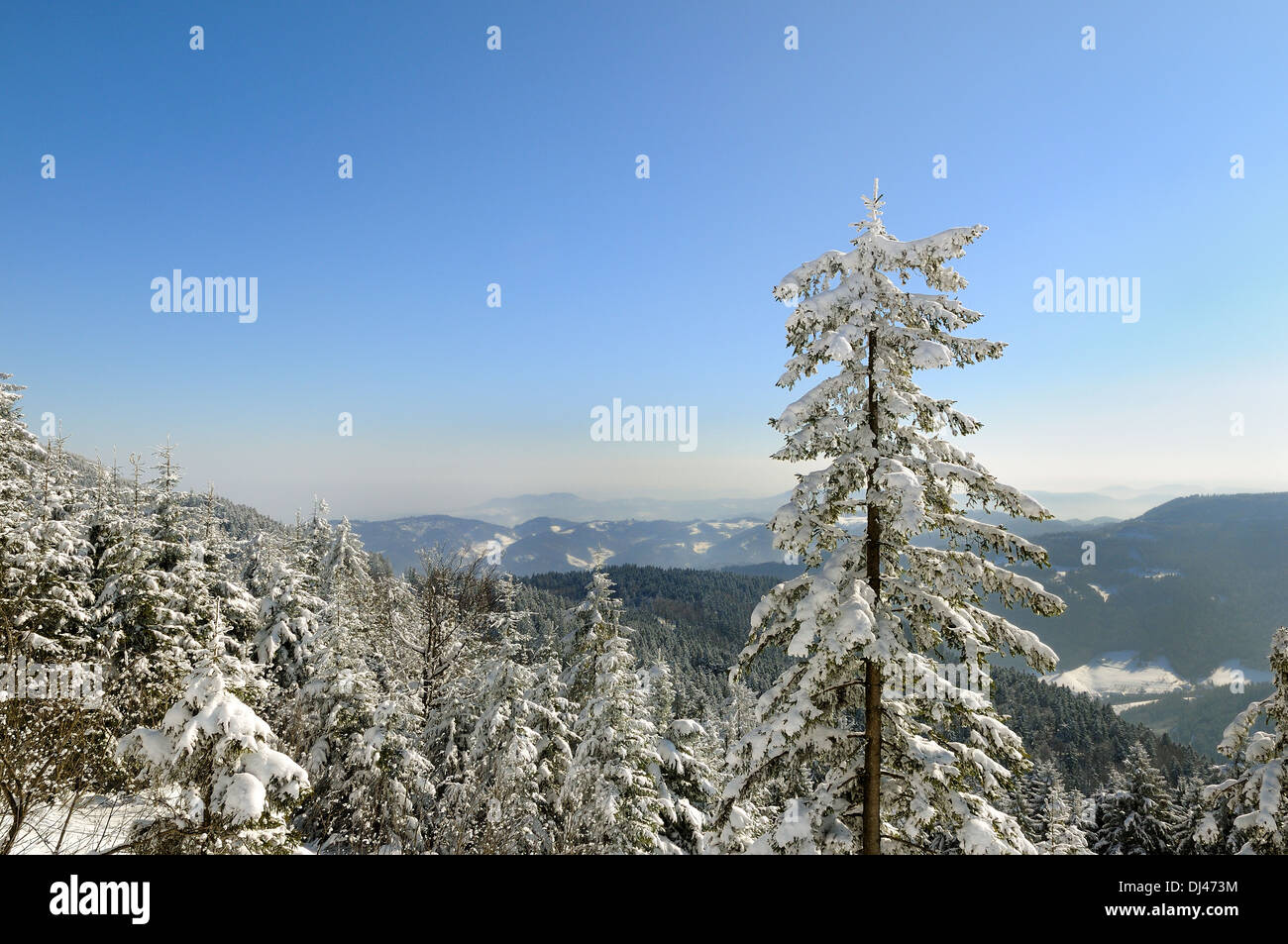 view over the valley Stock Photo - Alamy