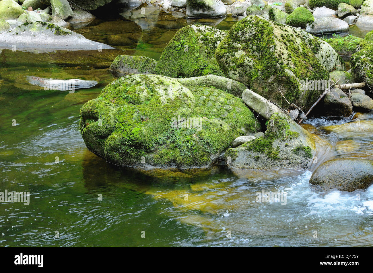 Stone carved fish hi-res stock photography and images - Alamy
