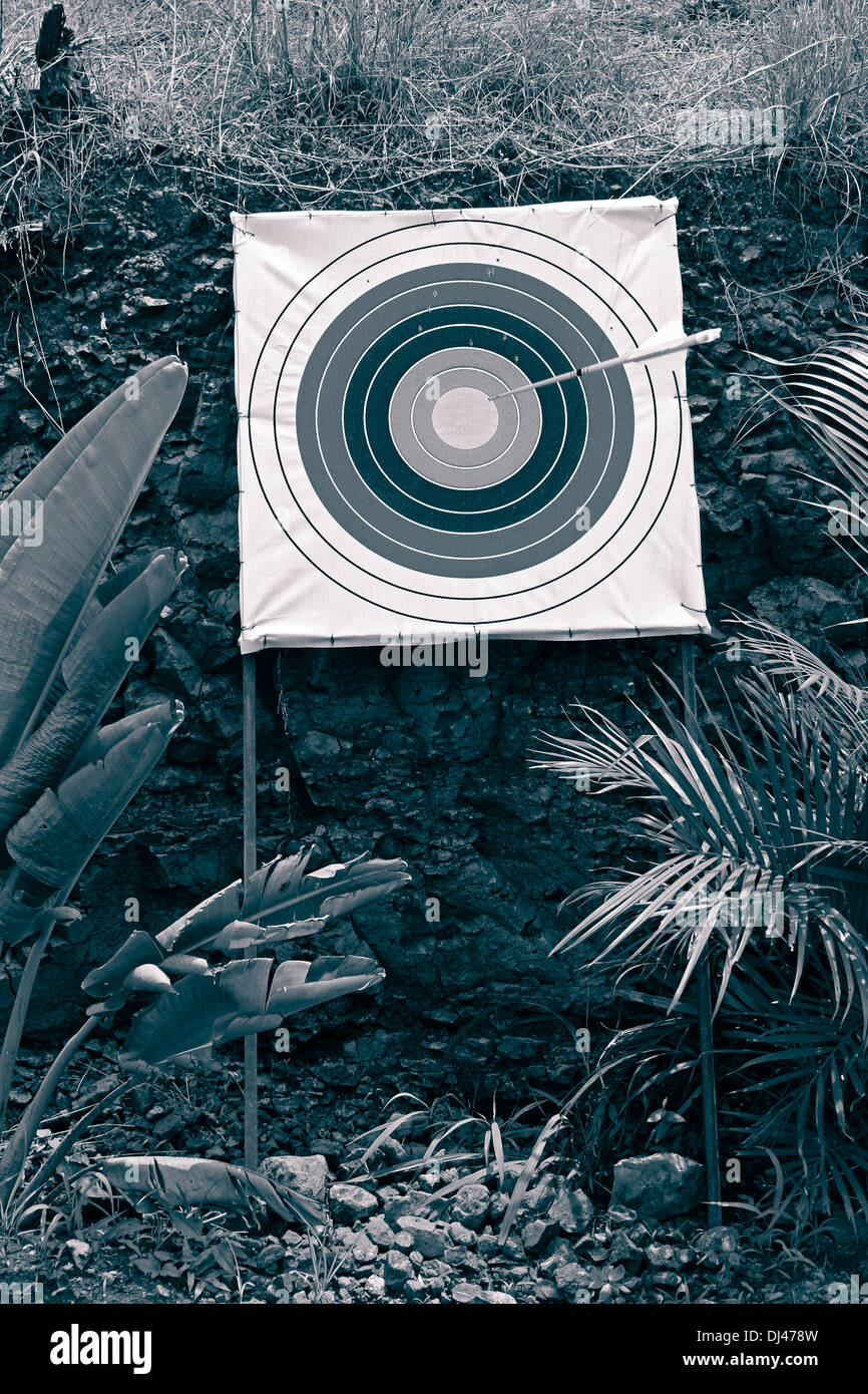 Archery Board, Shooting Targets Stock Photo - Alamy