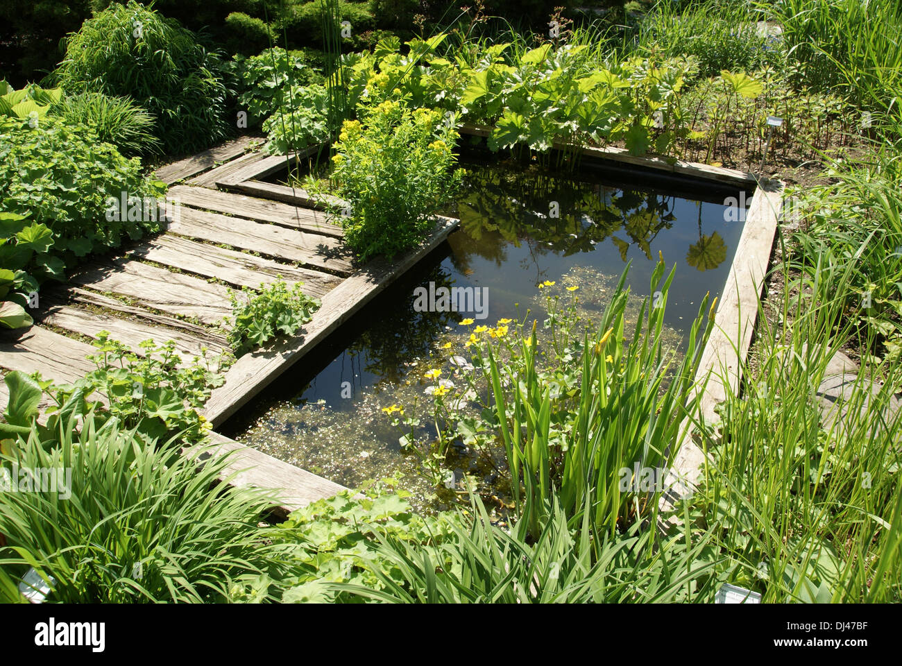 Plastic basin hi-res stock photography and images - Alamy