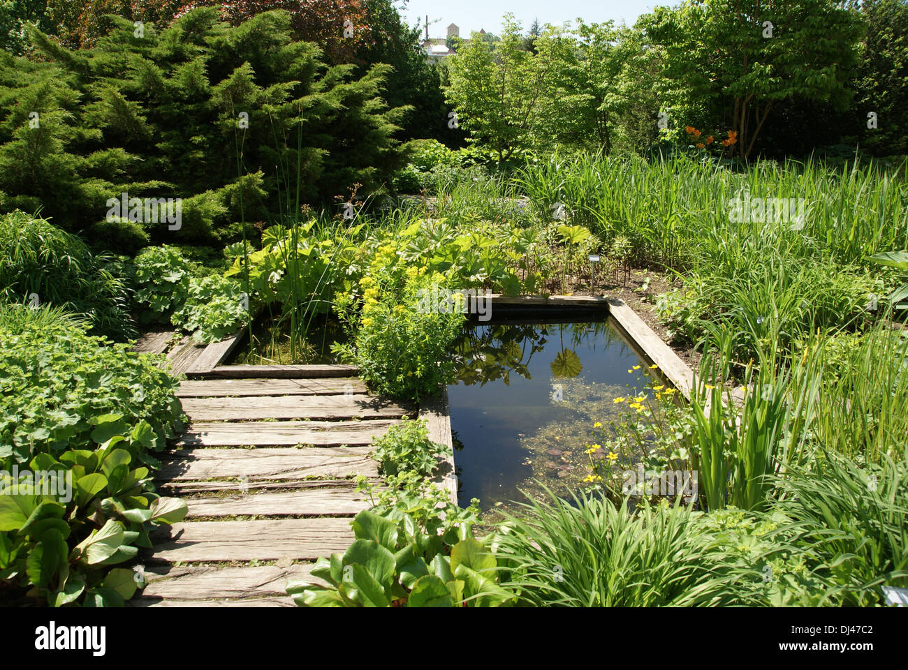 Pond basin made of hard plastic, pond Stock Photo - Alamy