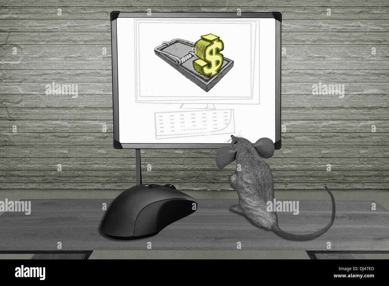 Rat watching computer screen with mouse hi-res stock photography and ...
