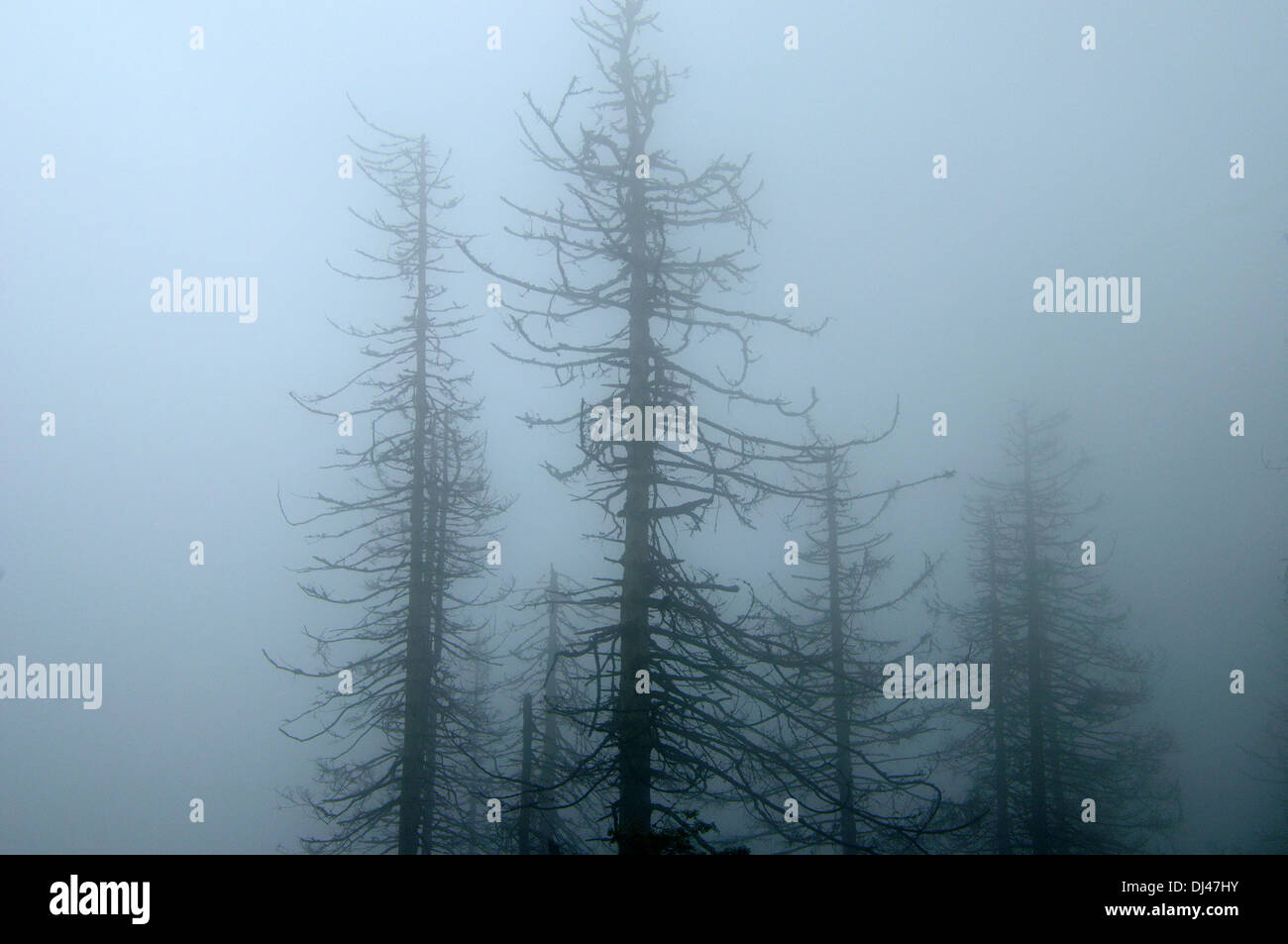 Fog damage hi-res stock photography and images - Alamy