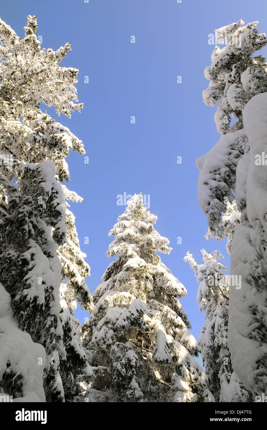 Focal point hi-res stock photography and images - Alamy