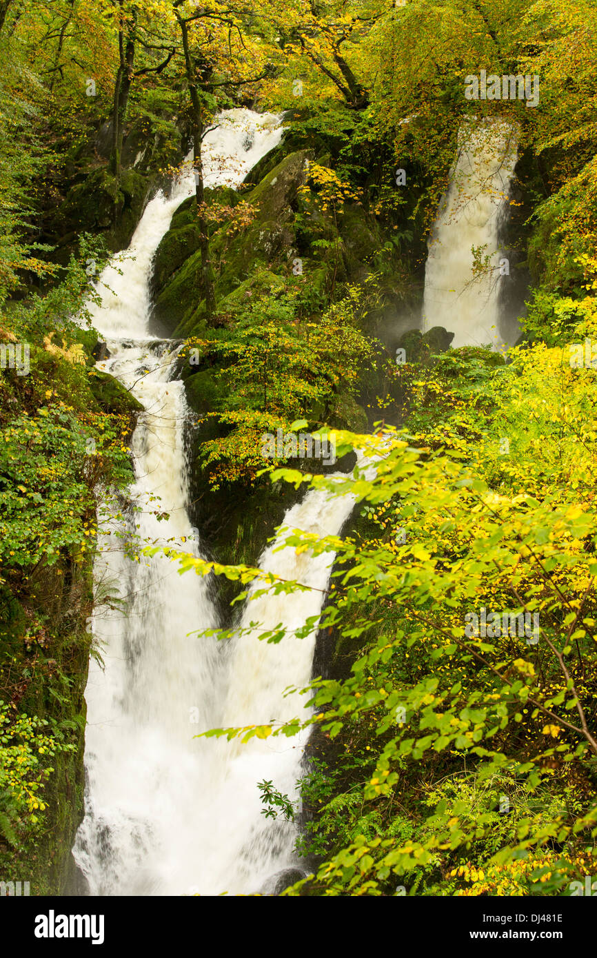Stock Ghyll waterfall in Ambleside, Lake District, UK, with Autumn ...